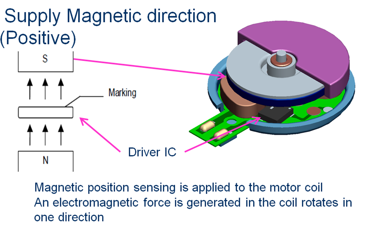 Coin Vibration Motors | Vibration Motor Manufacturer | GODO Electronics